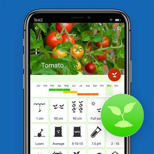 4 moestuin apps om zelf groente te kweken | Odido Blog