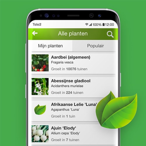 4 moestuin apps om zelf groente te kweken | Odido Blog