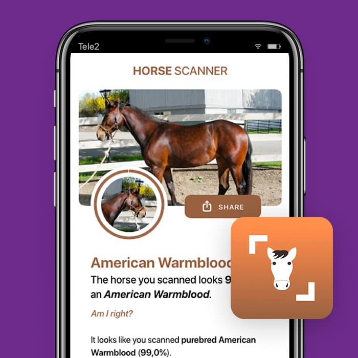 5x goede paarden apps voor elke paardenfan | Odido Blog